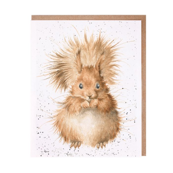Wrendale Red Head Squirrel Card. – Taste Of Britain