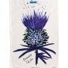 Scott Inness Bramble Thistle Tea Towel – Taste Of Britain