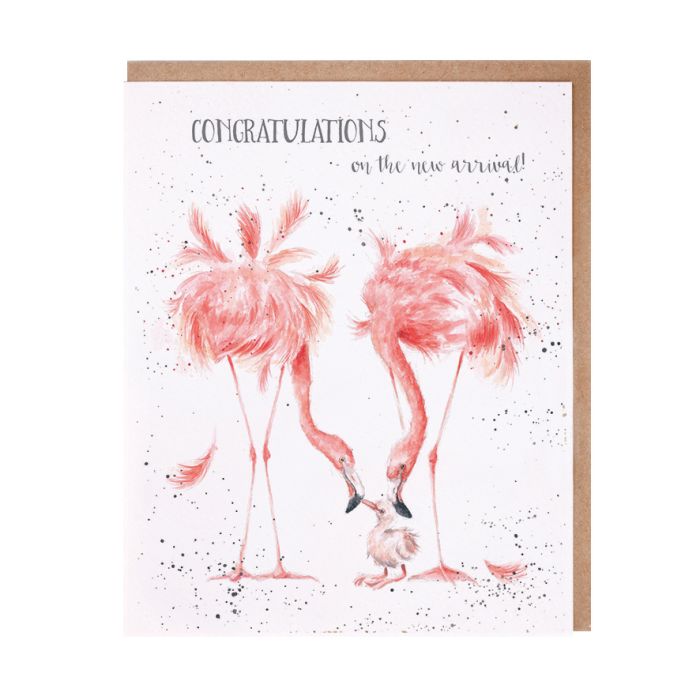 Wrendale New Arrival' flamingo card – Taste Of Britain