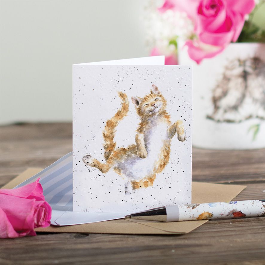 'The Catnap' cat mini-Enclosure card – Taste Of Britain