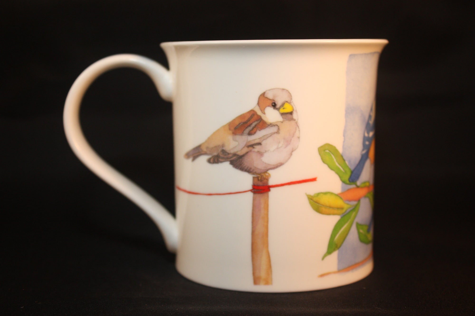 Dunoon Bird Watch- Mug – Taste Of Britain