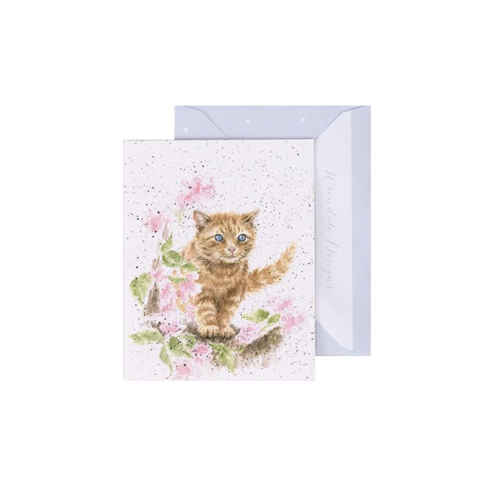 Wrendale 'The Marmalade Cat' Cat Enclosure Card – Taste Of Britain