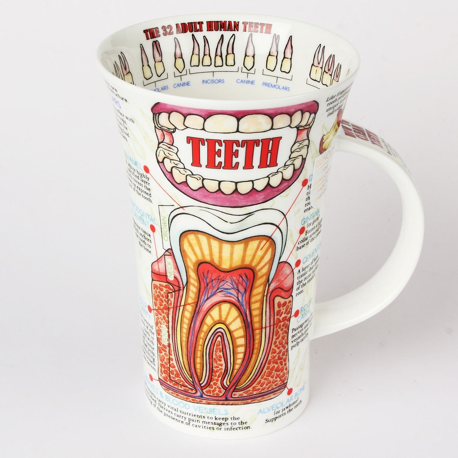 Dunoon Glencoe Teeth Mug – Taste Of Britain